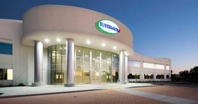 美超微股價跳水近2成 CEO：需更多輝達晶片支援 - MoneyDJ理財網